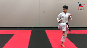 Welcome to Internet Martial Arts.com :: Lesson